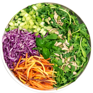 Our Meals – BIO RAW