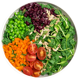 Our Meals – BIO RAW